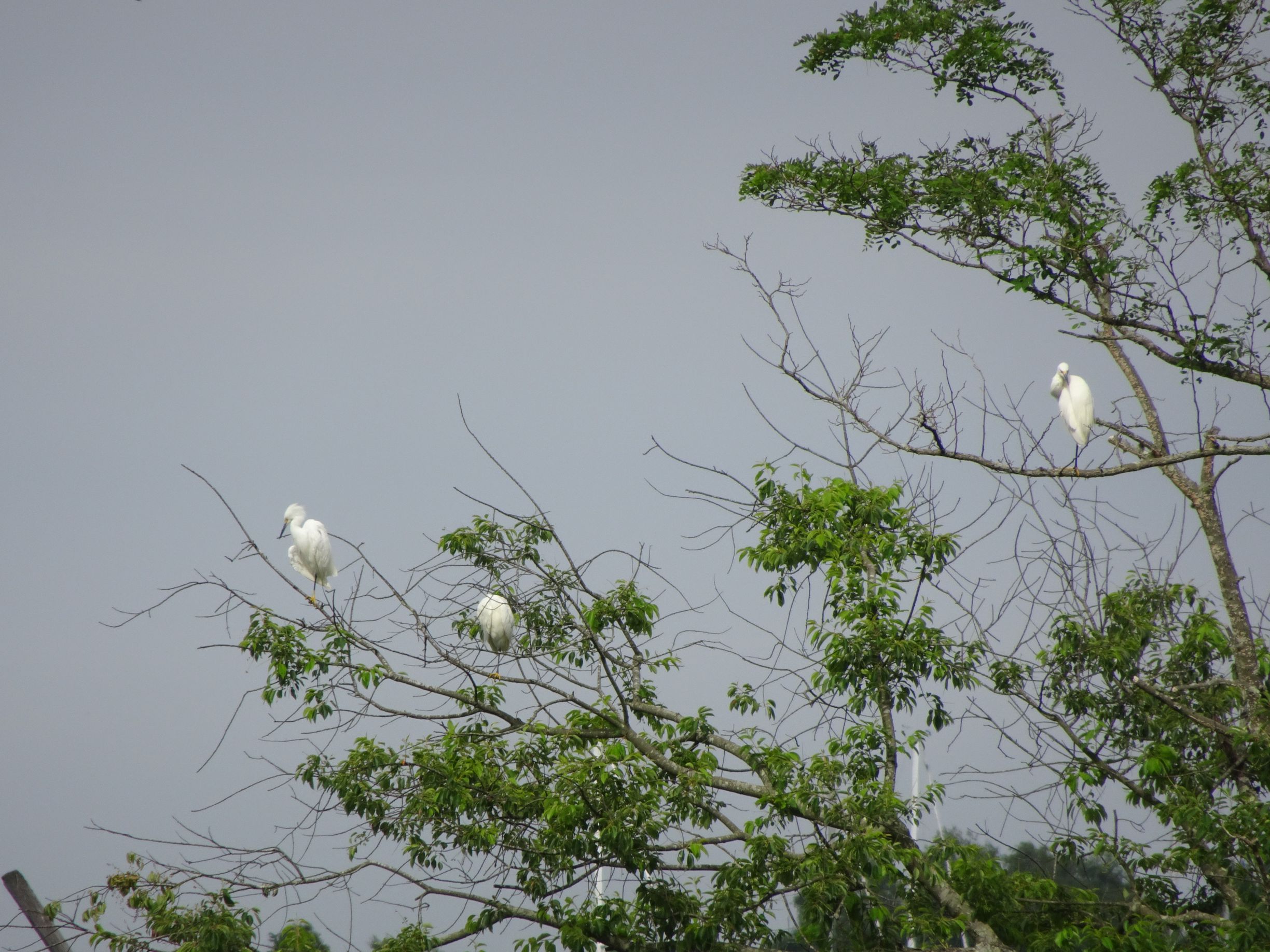 What’s really there? Tracking down Quonset Bike Path/Calf Pasture Bike ...