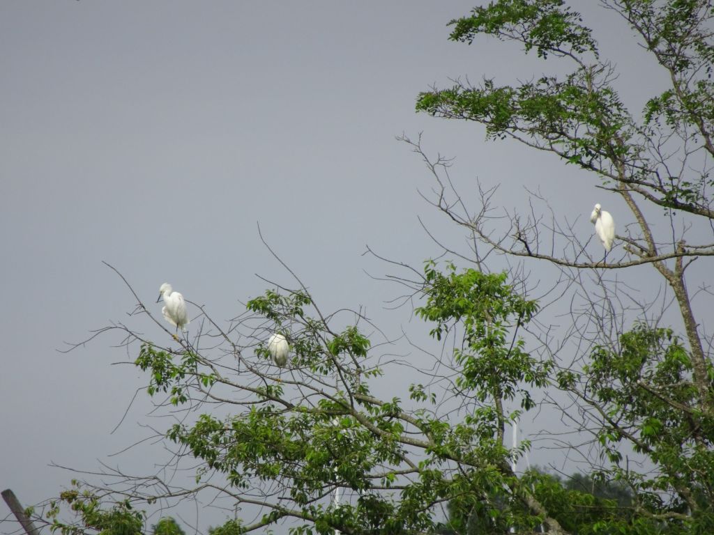 What’s really there? Tracking down Quonset Bike Path/Calf Pasture Bike ...