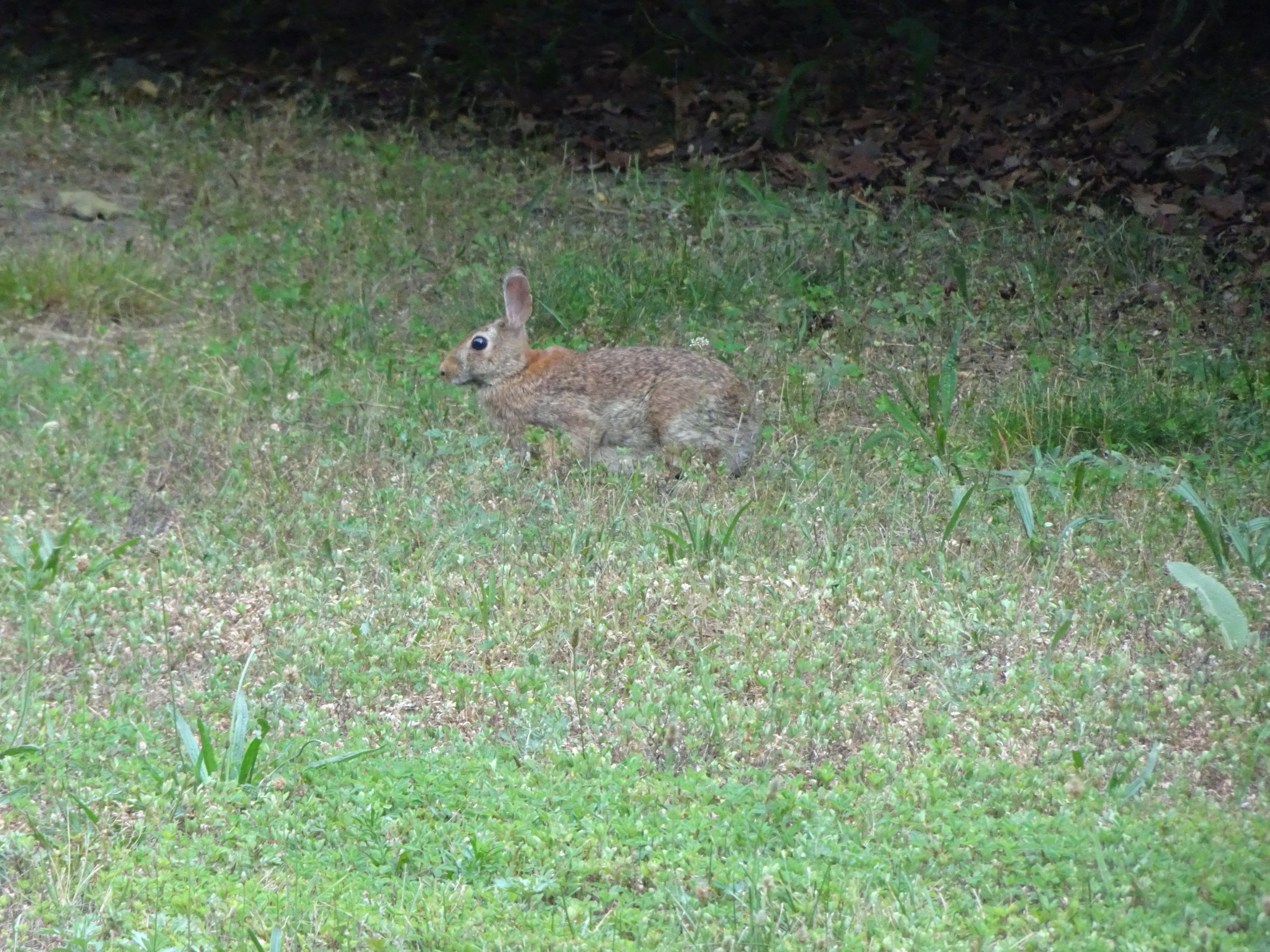 What’s really there? Tracking down Quonset Bike Path/Calf Pasture Bike ...
