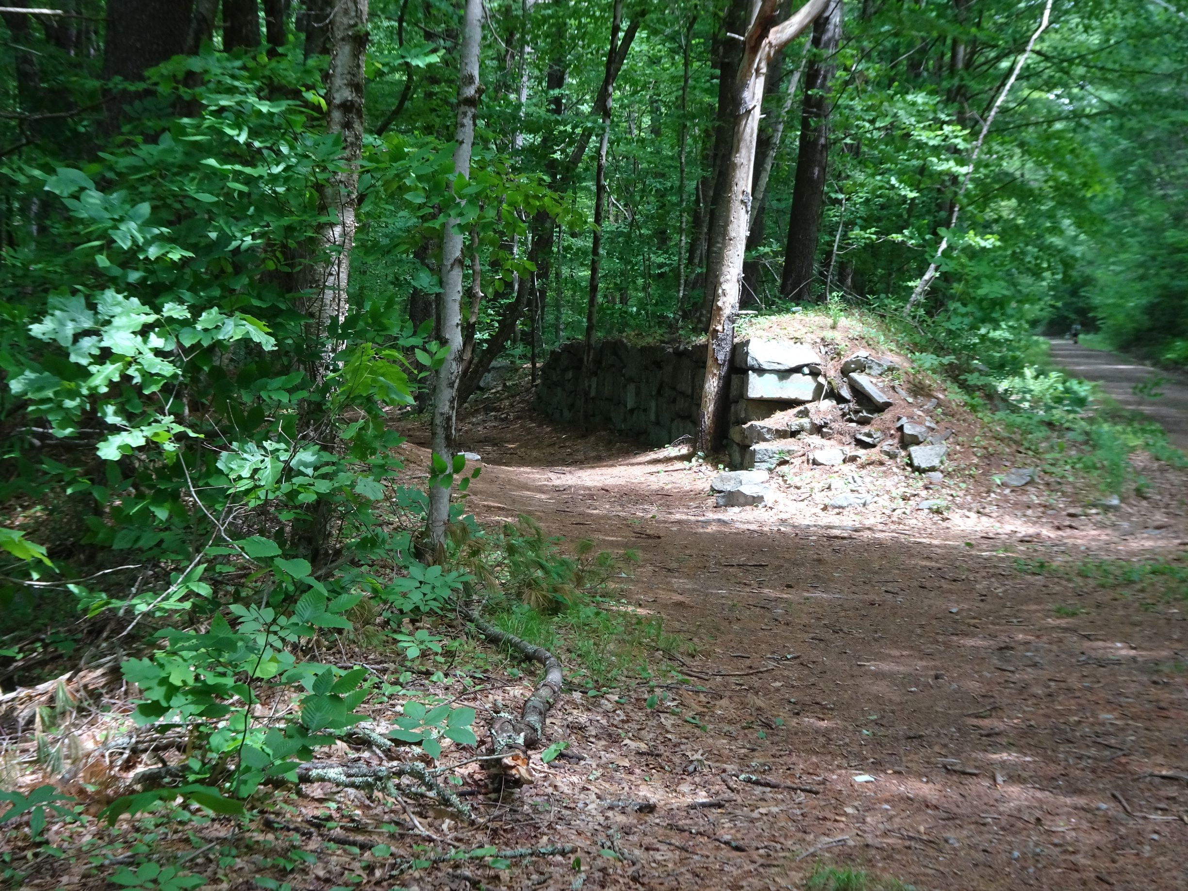 Just over the line-Railtrail in Mason, NH | Marjorie Turner Hollman