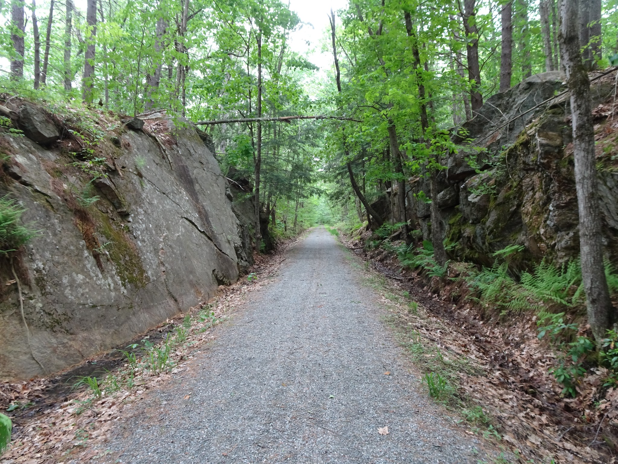 Just over the line-Railtrail in Mason, NH | Marjorie Turner Hollman
