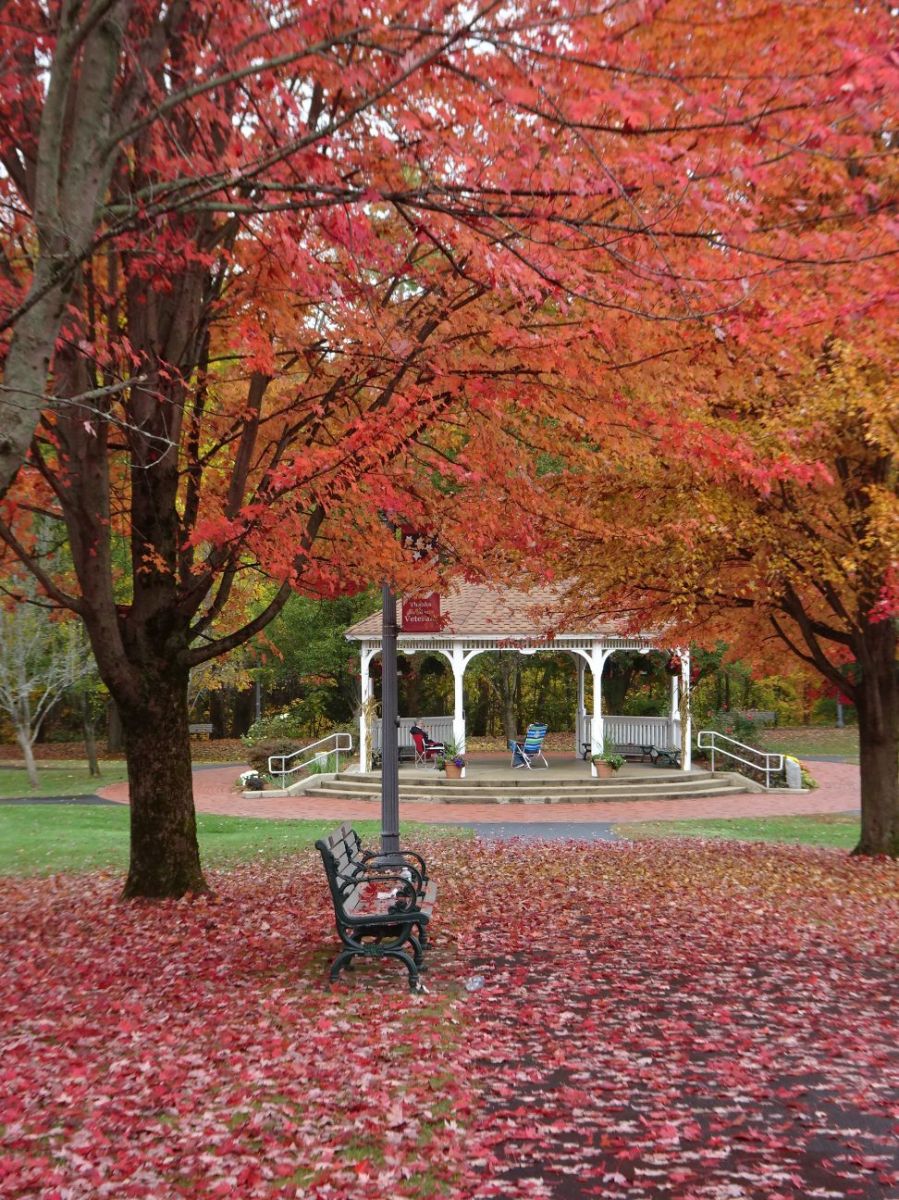 Walking through history at the Bellingham town common | Marjorie Turner ...
