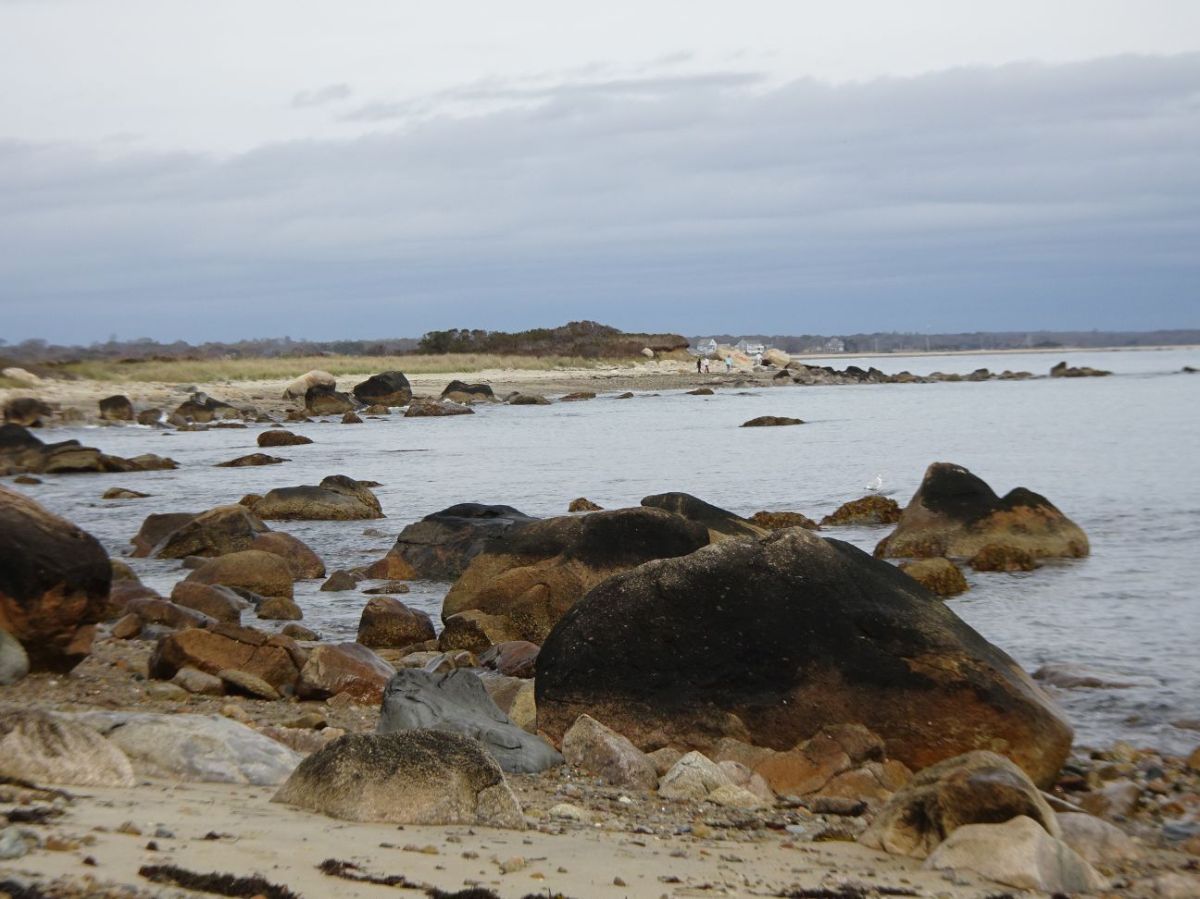 Return to Gooseberry Island | Marjorie Turner Hollman