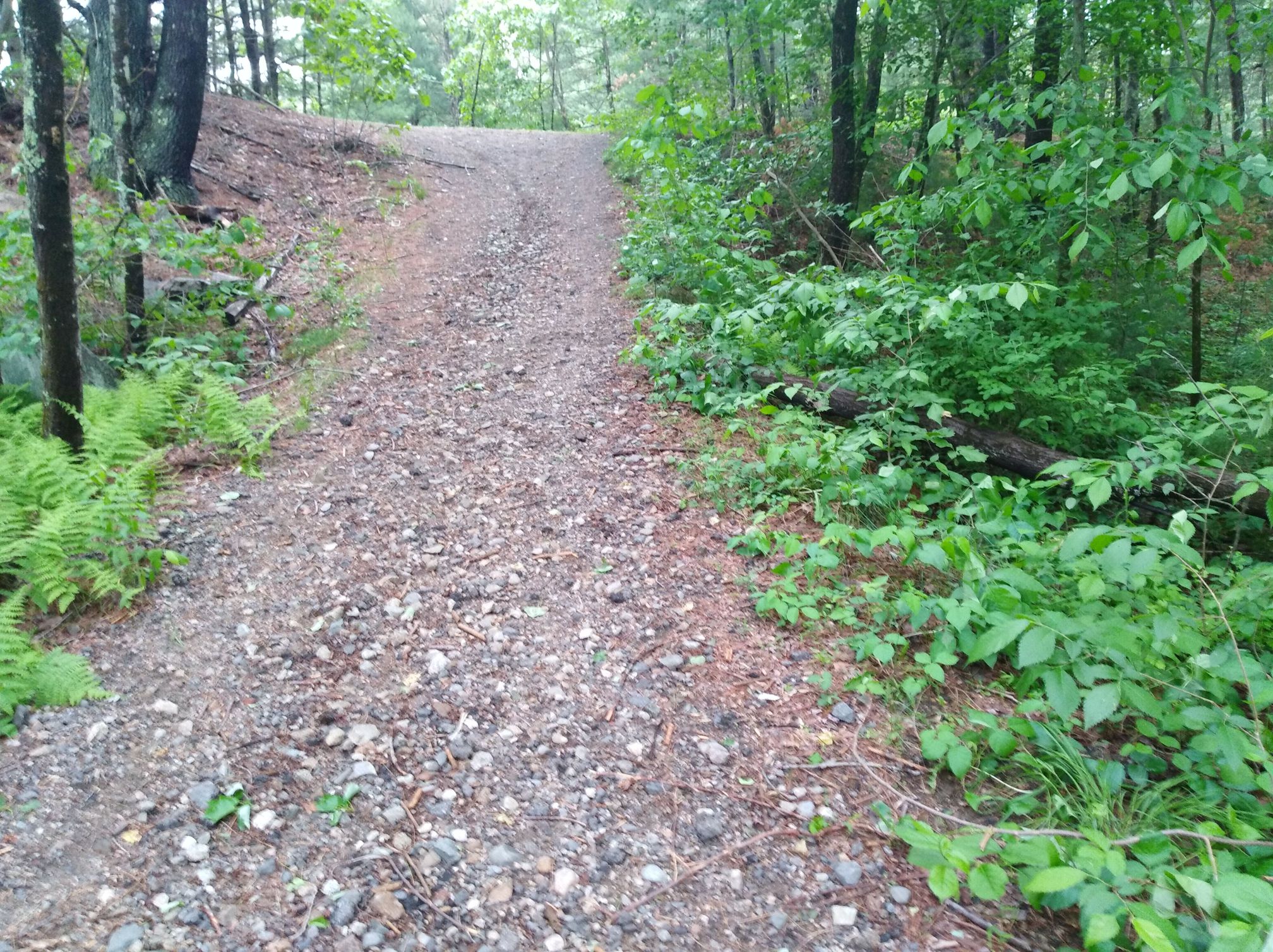 A Walk through History Silver Lake Beach, Bellingham, MA | Marjorie ...