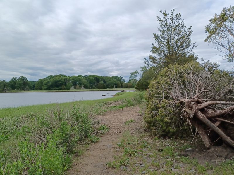 Wilson Park N. Kingstown, RI beach walk | Marjorie Turner Hollman