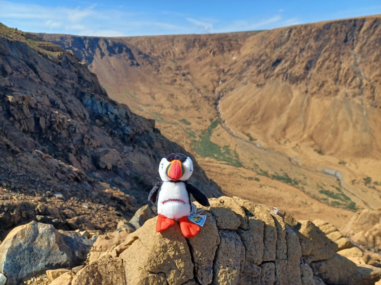 Easy Walks goes to Newfoundland–Puffins!! | Marjorie Turner Hollman