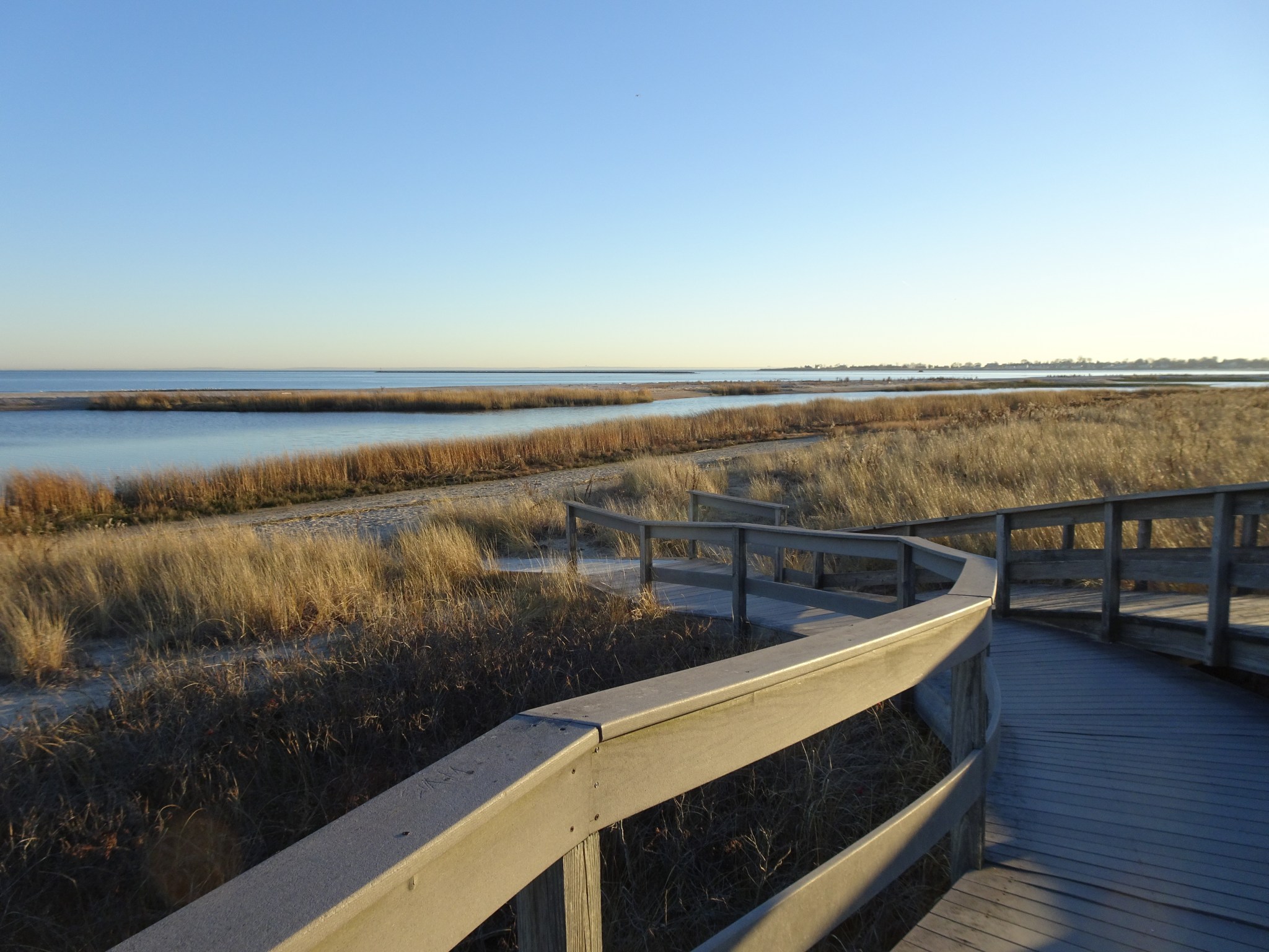 Blog posts–Easy Walks | Marjorie Turner Hollman