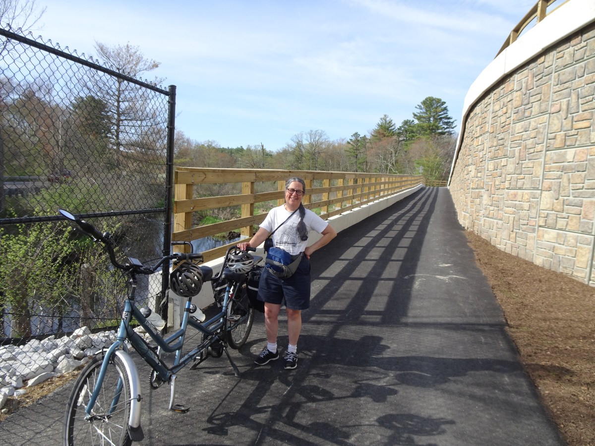 Bicycle craze | Marjorie Turner Hollman