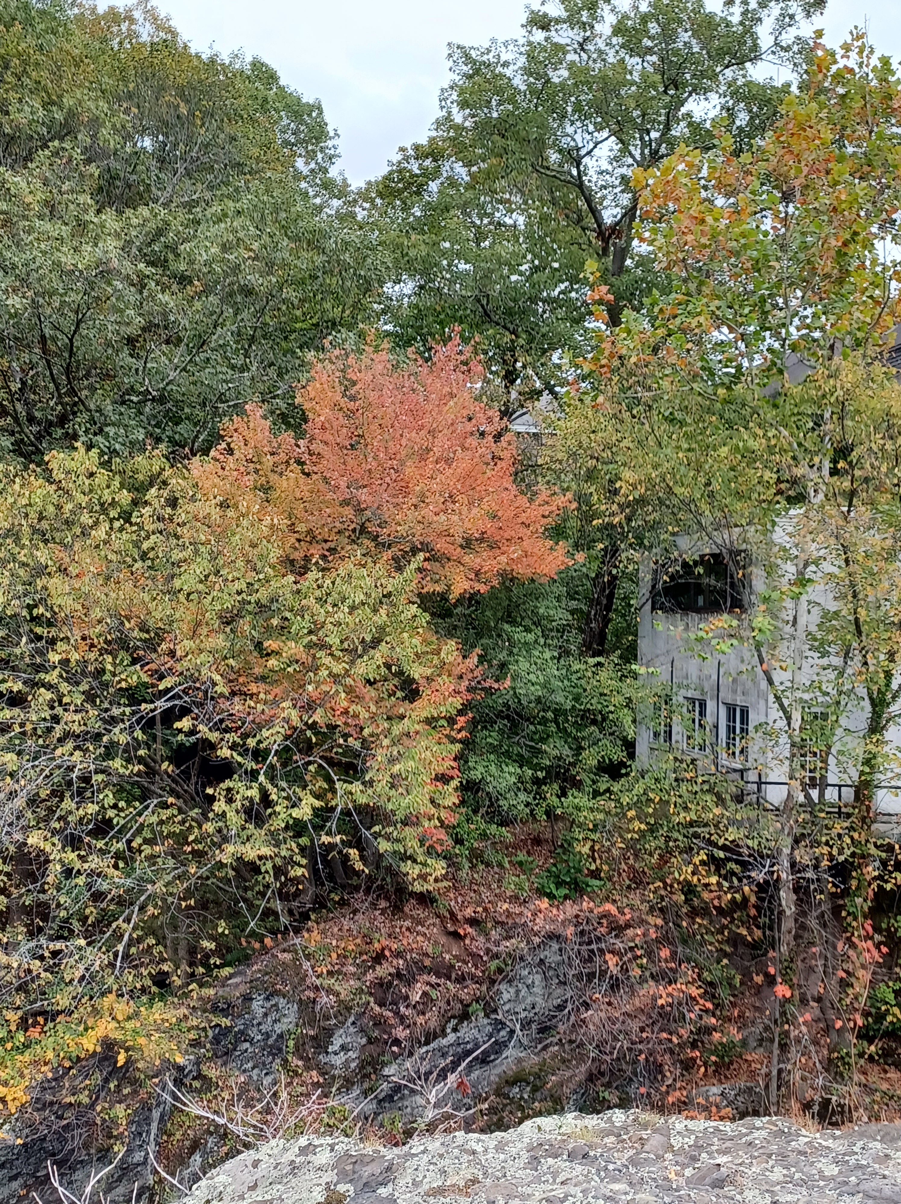 Echo Bridge, Newton and Needham, MA | Marjorie Turner Hollman